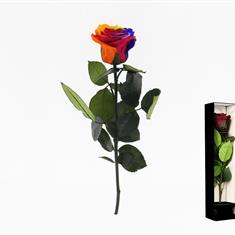 Jackie's Florist Tallaght - Order Online or +353 1 414 9501